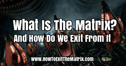 Exiting The Matrix – Surviving The Matrix